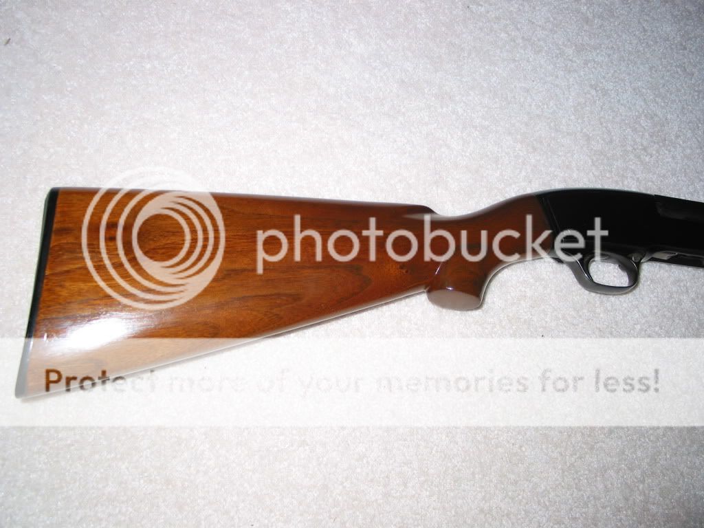 M42 Advice and Thoughts | Shotgun Forum