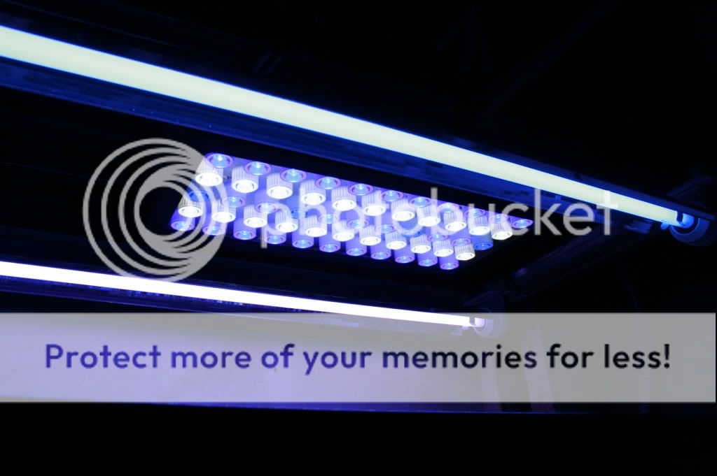 leds and t5s | Reef2Reef