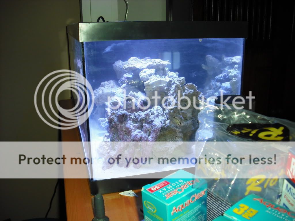 Lauren's DIY AIO 20L Nano Reef - Reef Central Online Community